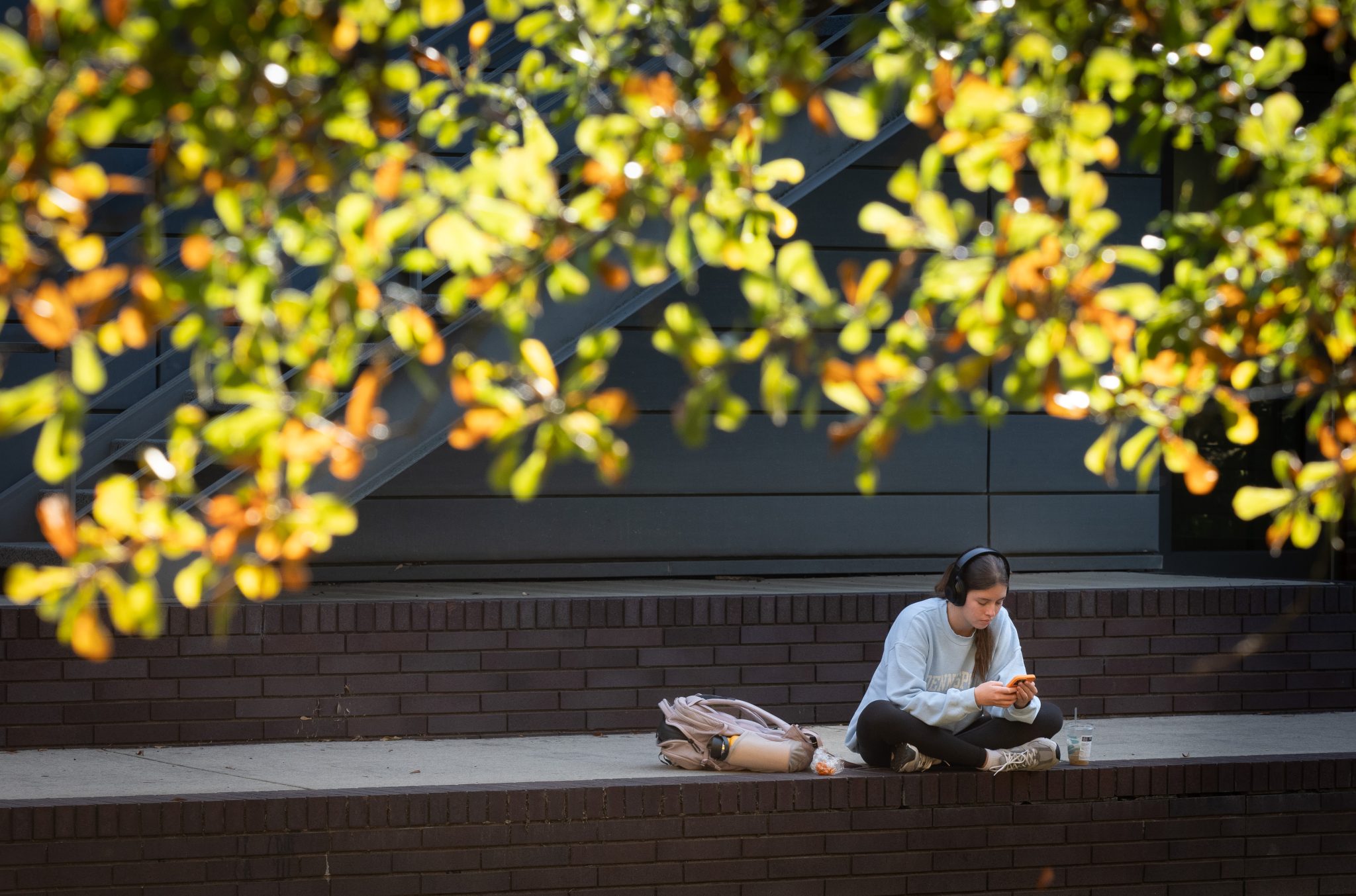 Scams Targeting College SNAP/FNS Recipients - More In My Basket